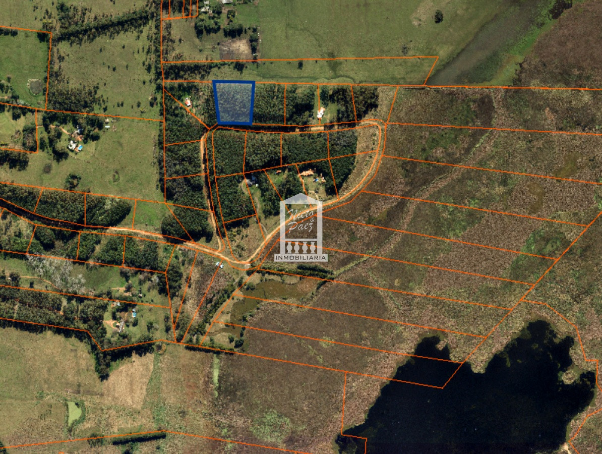 Terreno ID.39379 - Las Silvias, Laguna del Diario. 10.000 m2 con 1.000 ...